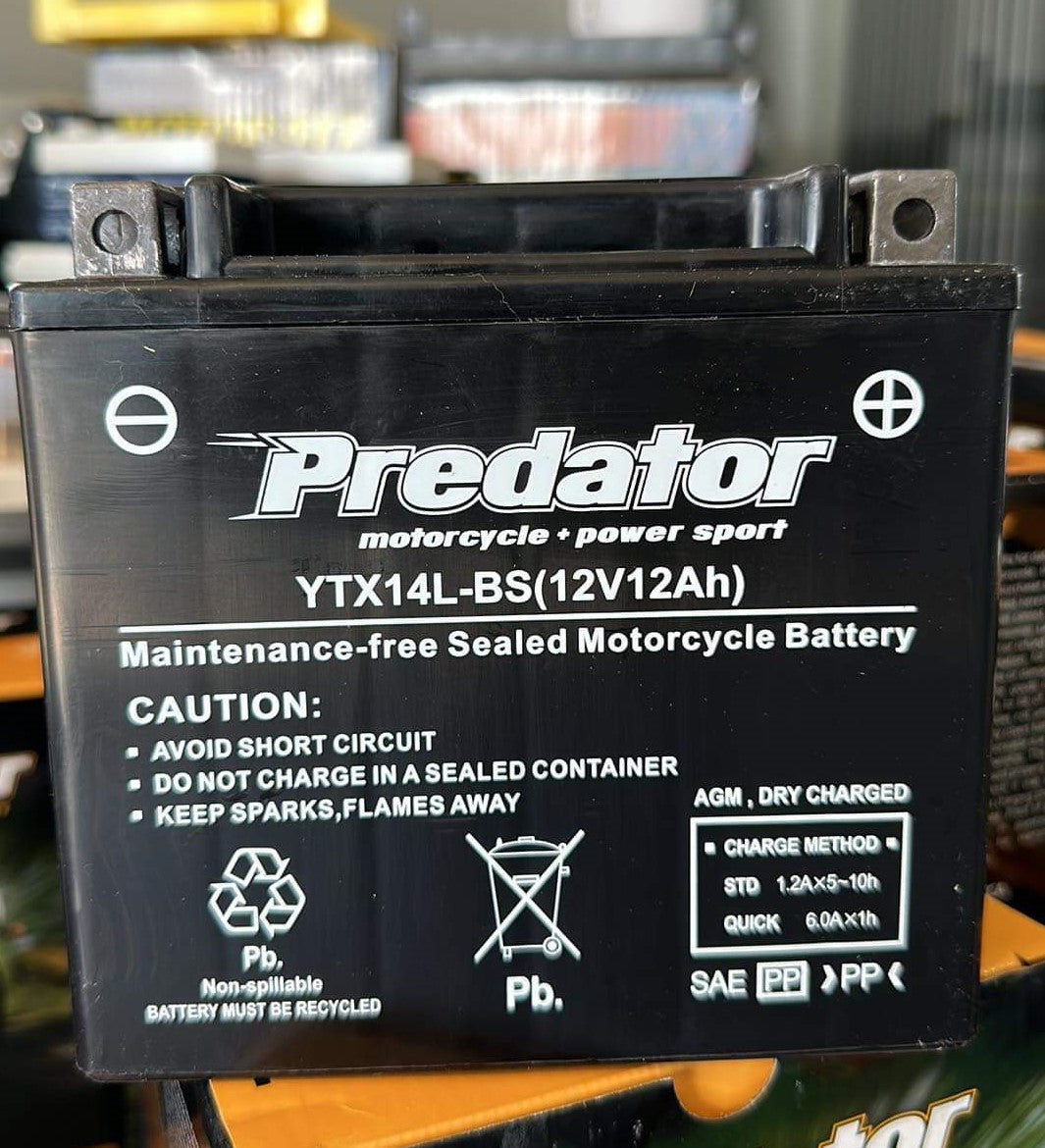 PREDATOR YTX14L-BS -12 MONTH WARRANTY MOTORCYCLE BATTERY. – The Battery hub